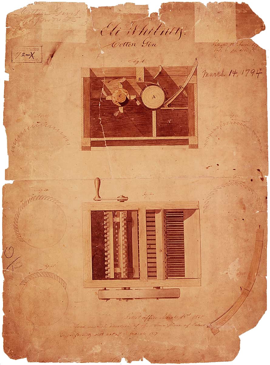 Eli Whitney and the Cotton Gin