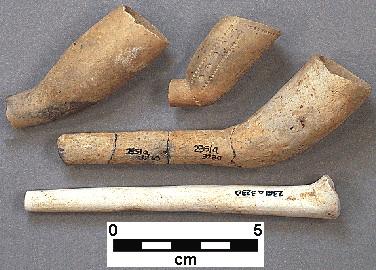 Common artifacts: clay pipe fragments | NCpedia