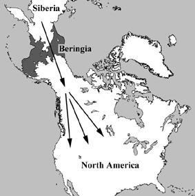 Beringia | NCpedia