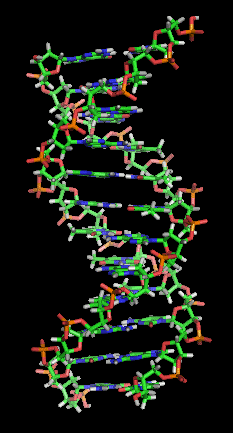 DNA Section | NCpedia