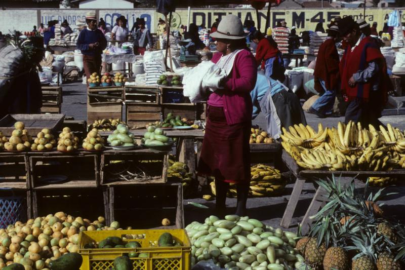 Fruit market in Cajabamba, Ecuador | NCpedia