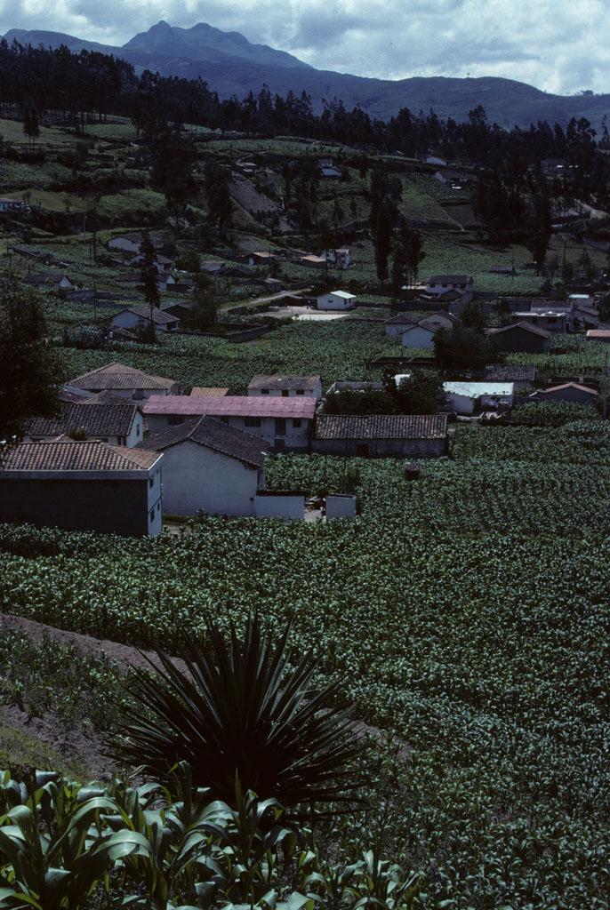 Farmland near Otavalo, Ecuador | NCpedia