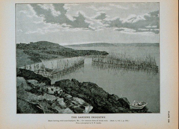 Fishing weir | NCpedia
