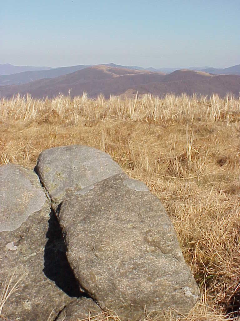 Grassy bald on Round Bald | NCpedia