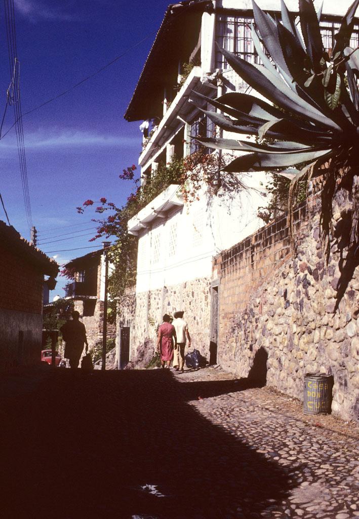 Gringo Gulch in Puerto Vallarta, Mexico | NCpedia