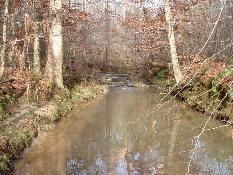 Natural stream 2 of 4 | NCpedia