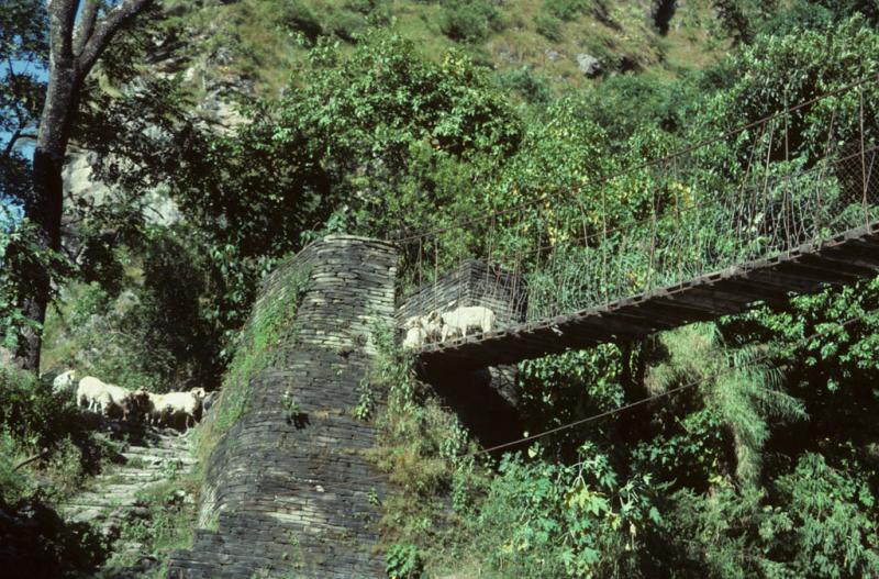 Goats crossing a bridge over the Kali Gandaki river | NCpedia