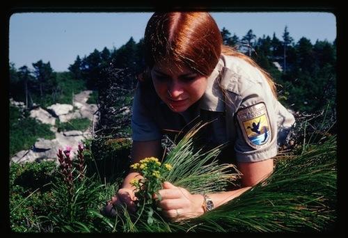 U.S. Fish and Wildlife Ranger | NCpedia