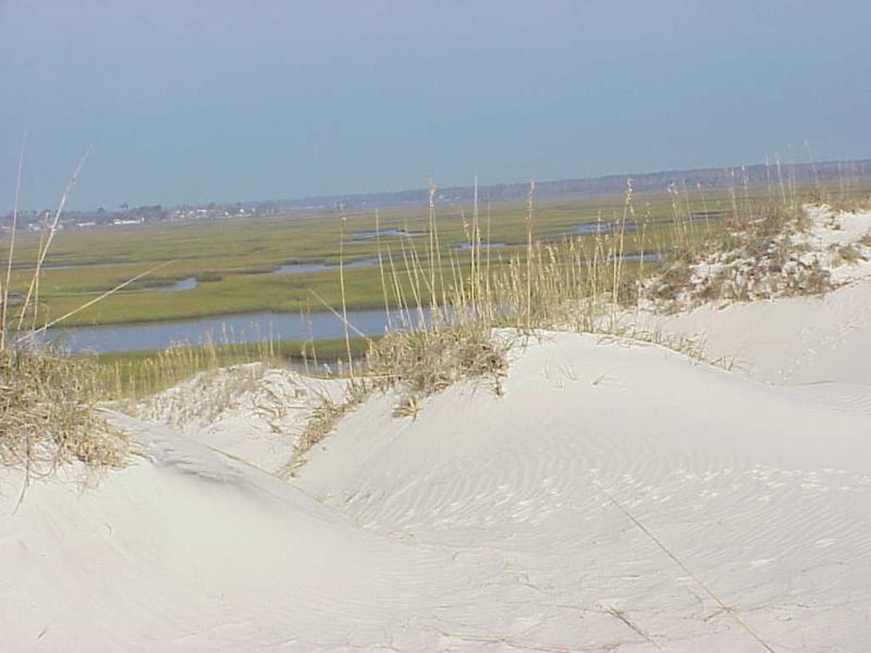 Salt Marsh Behind Bear Island West Of Bogue Inlet Ncpedia