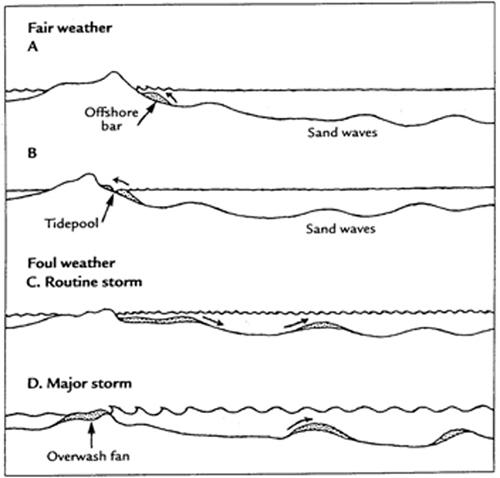 Diagram of sand exchange | NCpedia