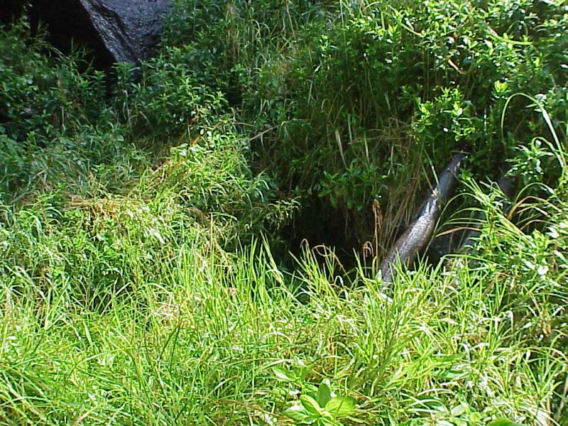 Spray zone community | NCpedia