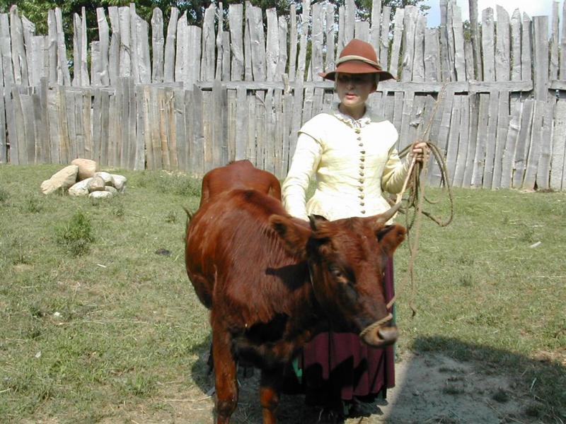 Colonial woman and cow | NCpedia