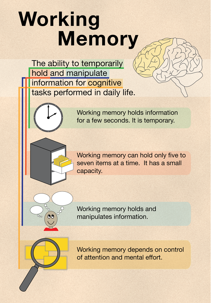 Working Memory Illustration NCpedia Working Memory Illustration NCpedia